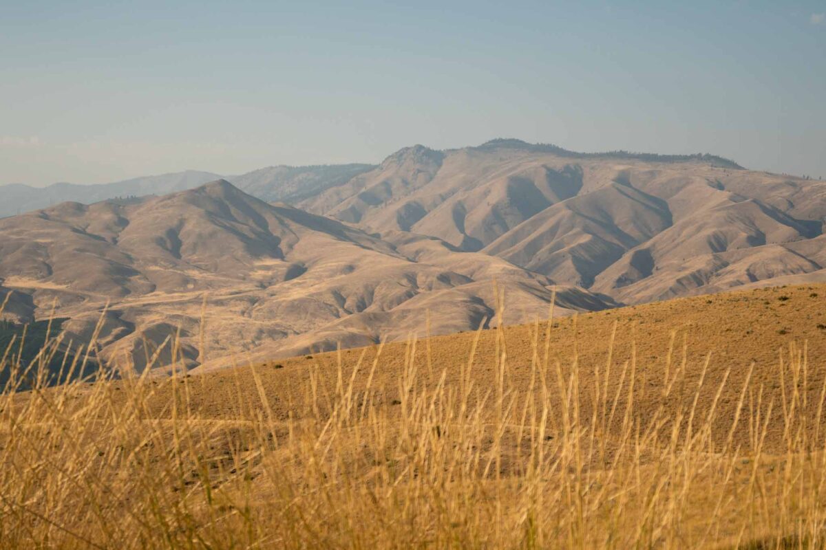 2024 Nature Lover’s Guide: Best Things to do in Wenatchee - Your ...
